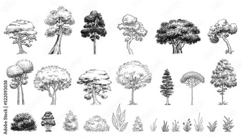 Plant Tree Forest Icon Set Outline Hand Drawn Vector Garden Drawing
