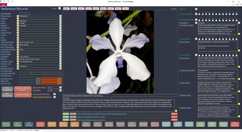 Orchid Database Software Track Watering Repotting Care