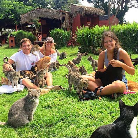 Lanai Cat Sanctuary Saving Cats Protecting Birds Hawaii
