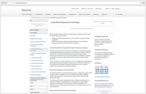 Phased Sequencing Genome Phasing And Haplotyping Information