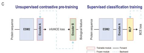 Nc 2025 基于对比学习的语言嵌入和生物特征用于跨模态编码和效应蛋白预测contrastive Learning Of Language Embedding And Bio Csdn博客