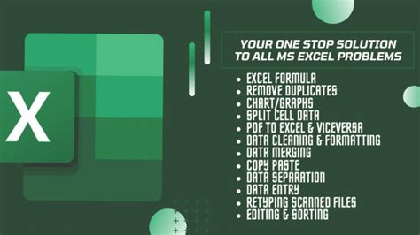 do all kinds of ms excel work data cleaning and formatting merging