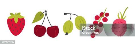 가든 베리 세트 만화 체리 딸기 라즈베리 건포도 및 구스 브리 그림 유기농 식품 신선한 주스 재료 흰색에 고립 된 벡터 개체 그룹에 대한 스톡 벡터 아트 및 기타 이미지