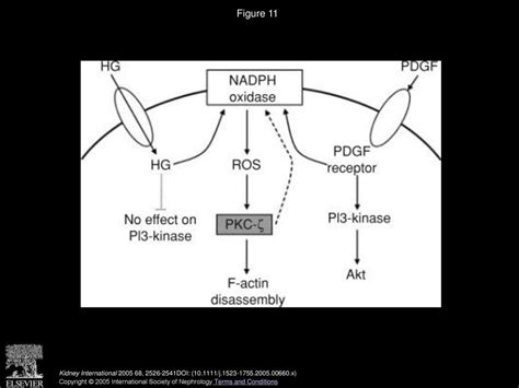 Volume 68 Issue 6 Pages December 2005 Ppt Download