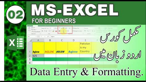 microsoft excel tutorial in urdu hindi data entry and formatting