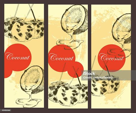벡터 코코넛 손 드로잉 스케치 배너 빈티지 스타일 철두철미 잉크에도 갈색에 대한 스톡 벡터 아트 및 기타 이미지 갈색
