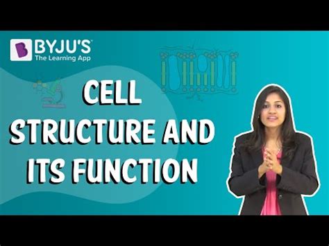 Cell The Unit Of Life Class Notes Important Questions From Chapter