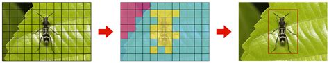 Overview Of Pest Detection And Recognition Algorithms