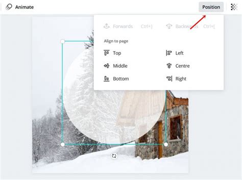 Canva Review Amazing Design Tool For Non Technical Persons S M Belal