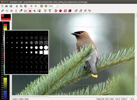Pixelized Linux Magazine