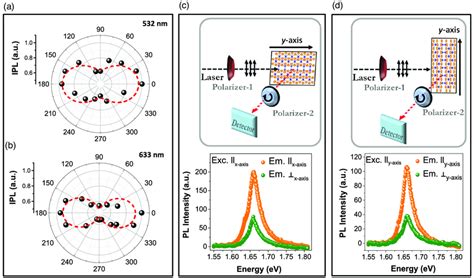 Polarization‐dependent Pl Of Gate Ab Excitation Download Scientific Diagram