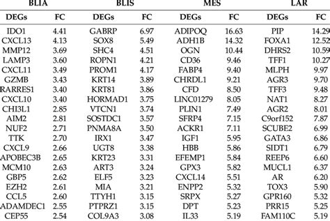 Top 20 Unique Upregulated Degs Of Each Tnbc Subtype Download