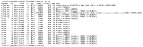 Istio组件详解 蜷缩的蜗牛