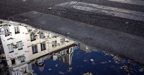 Urban Photo Puddle Art Getyourguide