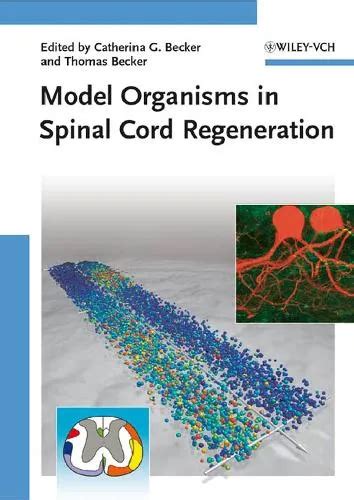 Model Organisms In Spinal Cord Regeneration Download Pdf