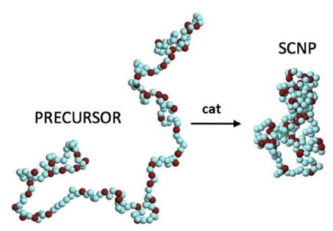 Single Chain Nanoparticles A World Of Opportunities Mapping Ignorance
