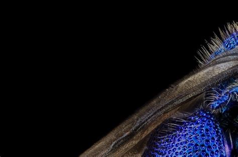 54 webs v1 website inspiration gallery learn html css and javascript