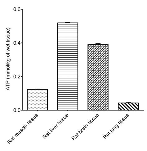 Novus Biologicals Atp Assay Kit Colorimetric 100 Assayscell Analysis