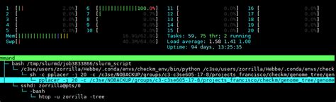 Pplacer Only Uses One Thread Core Issue Ecogenomics CheckM GitHub