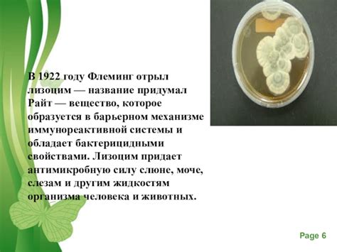 Флеминга Стоимость — 1-aptekaru.ru