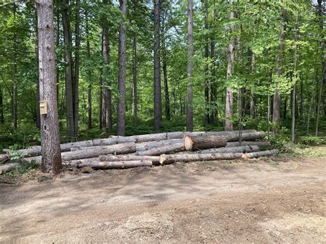 Small Scale Logging Milling Question R Forestry
