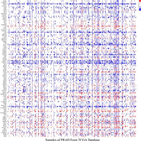 The Level Of Gene Copy Number In Prad Samples The Estimated Values 2