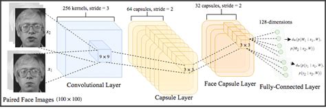 siamese capsule network architecture download scientific diagram