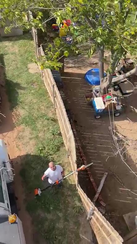 Texas Green Tree Trimming Landscaping Tree Removal Lubbock TX USA