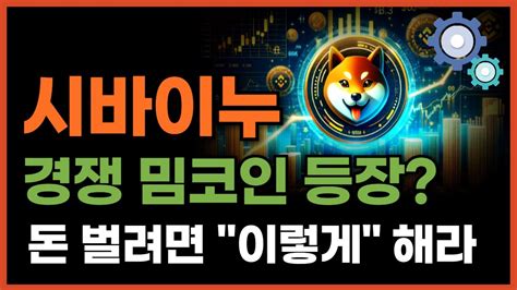 시바이누 24일 오전 2시대박 소식 입니다 Youtube