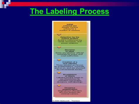 Chapter 7 Social Process Theories Learning Control And Reaction Ppt Video Online Download