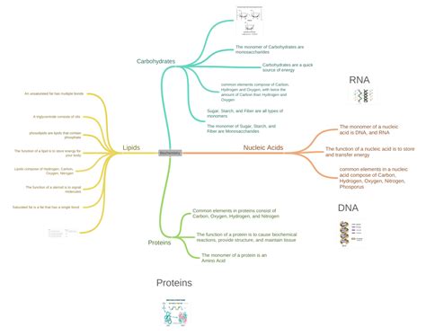 Biochemistry Dna Stockphoto Dna Simple2 1 Rna Rna Proteins Download