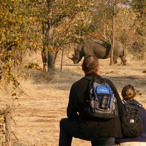 Rhino Safari 2025 Luxury African Safari Travel Trends In 2025 Cuxfz