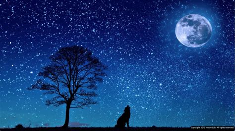 애프터이펙트 강좌 19 마스크 실습 1 Youtube