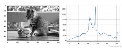 七、opencv Python图像处理高级操作（4）——直方图pythoncv图像直方图 Csdn博客