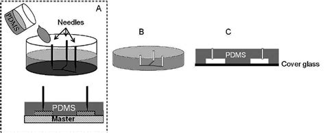 Replication Of Pdms Based Microfluidic Devices Produced By Soft Download Scientific Diagram