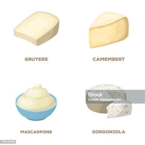 Gruyere 카망베르 마스 카 고르 곤 촐라입니다 다른 종류의 치즈 만화 스타일 벡터 기호 재고 일러스트 웹에서 컬렉션 아이콘을 설정합니다 마스카포네 치즈에 대한 스톡