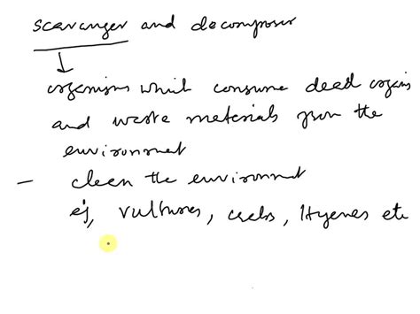 Solved What Is The Difference Between A Scavenger And A Decomposer