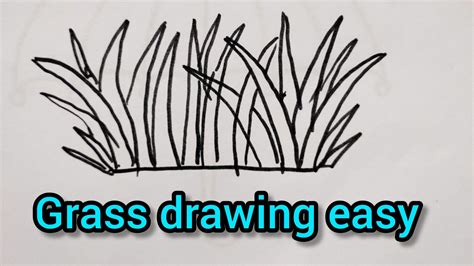 How To Draw A Grass In 2024 Easy Drawings Draw Grass Drawing