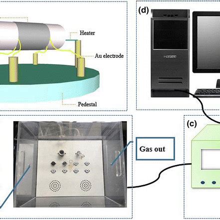 Schematic Of The Gas Sensing Measurement System A Structure Of Gas Download Scientific Diagram