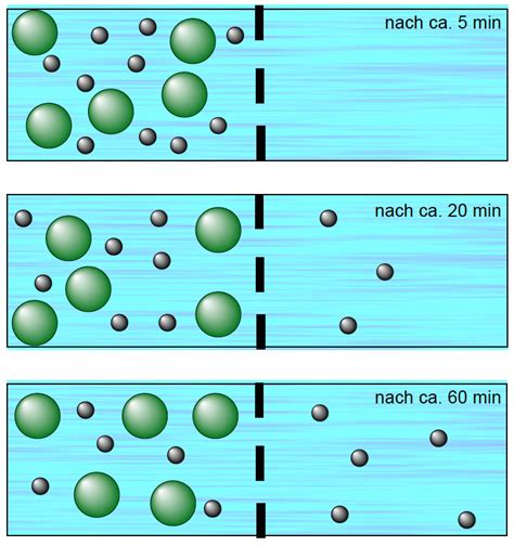 Diffusion Durch Eine Semipermeable Membran