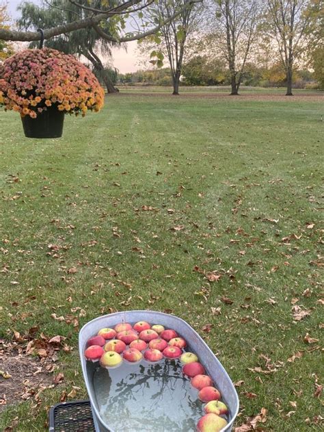 Apple Bobbing Station For Fall Party Bobbing For Apples Alternative