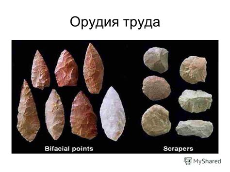 Презентация на тему: "Антропогенез «Создает человека природа, но ...