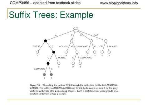 Ppt Combinatorial Pattern Matching Powerpoint Presentation Free Download Id4176056
