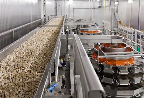 Poultry Food Processing Plant Design And Construction 探花精选