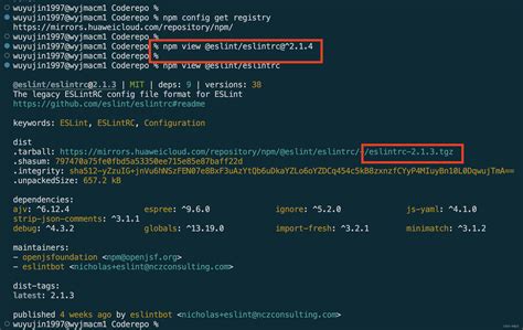Npm Err Notarget No Matching Version Found For Eslinteslintrc214