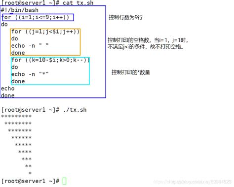 shell双重for循环 csdn博客