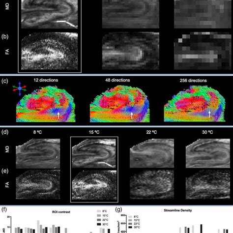 Spatial Resolution Diffusion Directions And Sample Temperature Download Scientific Diagram
