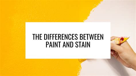 3 Unique Difference Between Paint And Stain