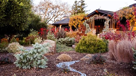 Kopshti Në Vjeshtë Cilat Lule Lulëzojnë Dhe Cilat Duhet Mbjellë Telegrafi
