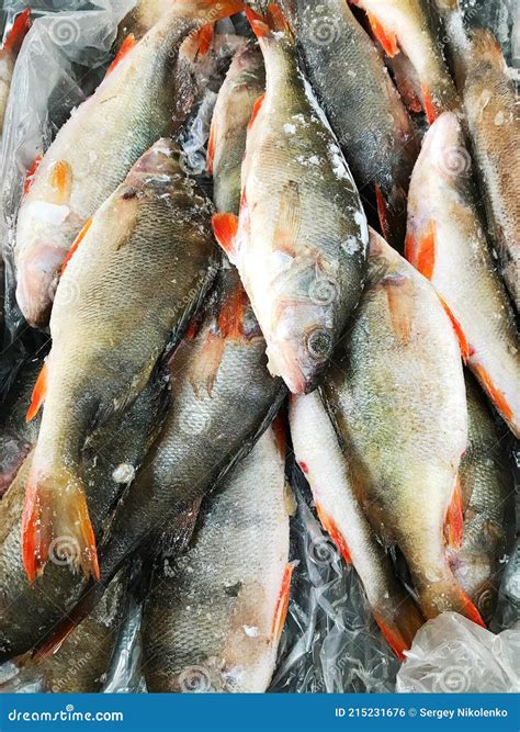Pescado Congelado Mercado De Pescado Fresco Dorada Foto De Archivo Imagen De Pila Salud